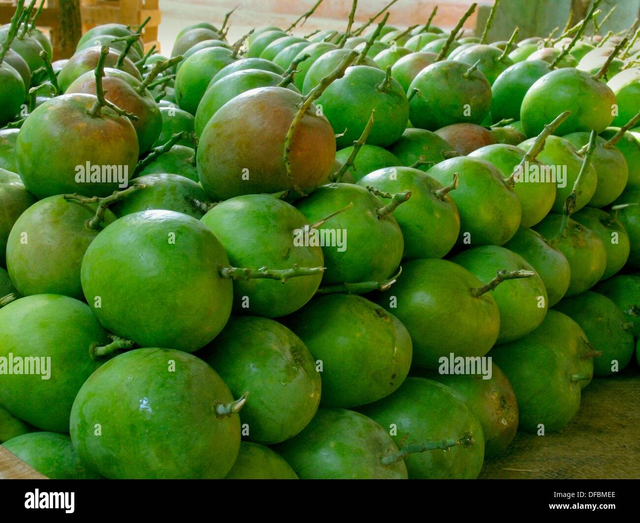 Healthy round ripe mangoes hi-res stock photography and images - Alamy