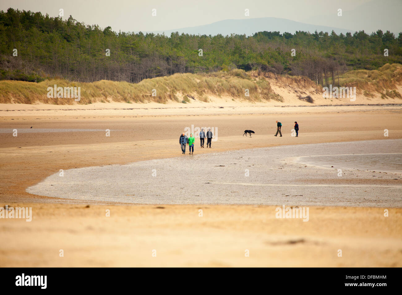 Dog walkers and walkers enjoying the first day of unrestricted dog ...