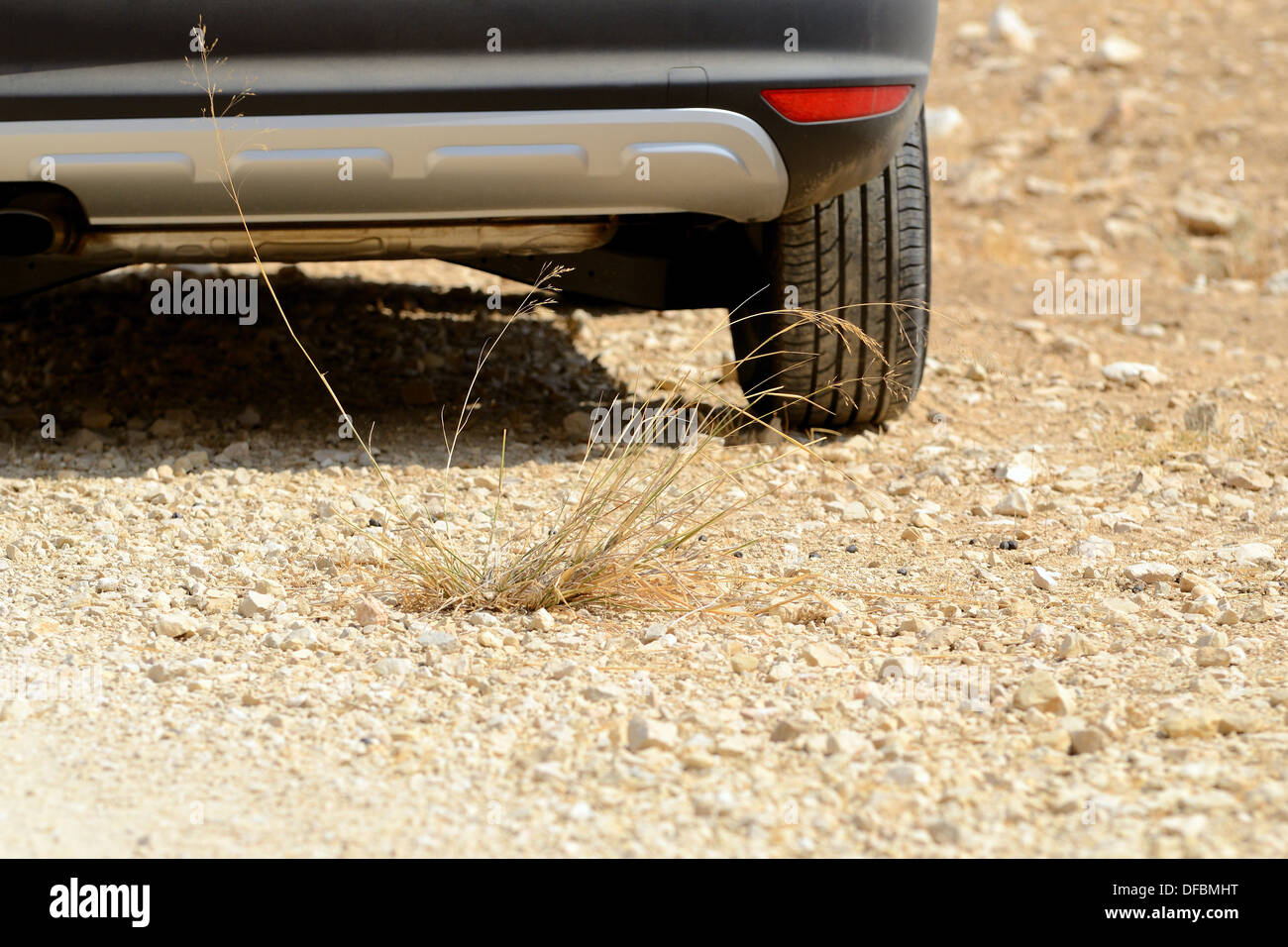 Rear view part of car outdoor, close-up Stock Photo - Alamy