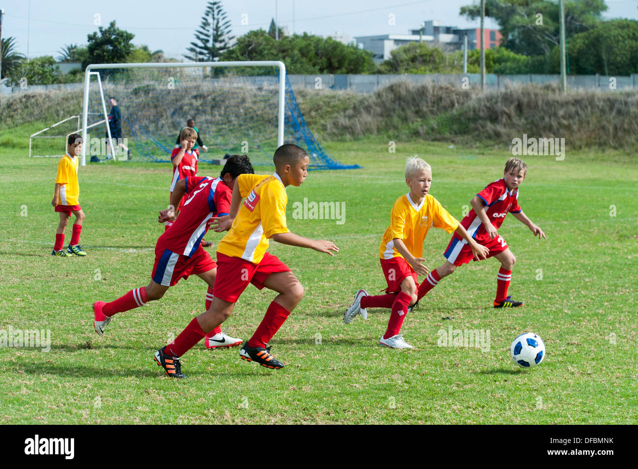 Junior football players chasing the ball, Cape Town, South Africa Stock ...