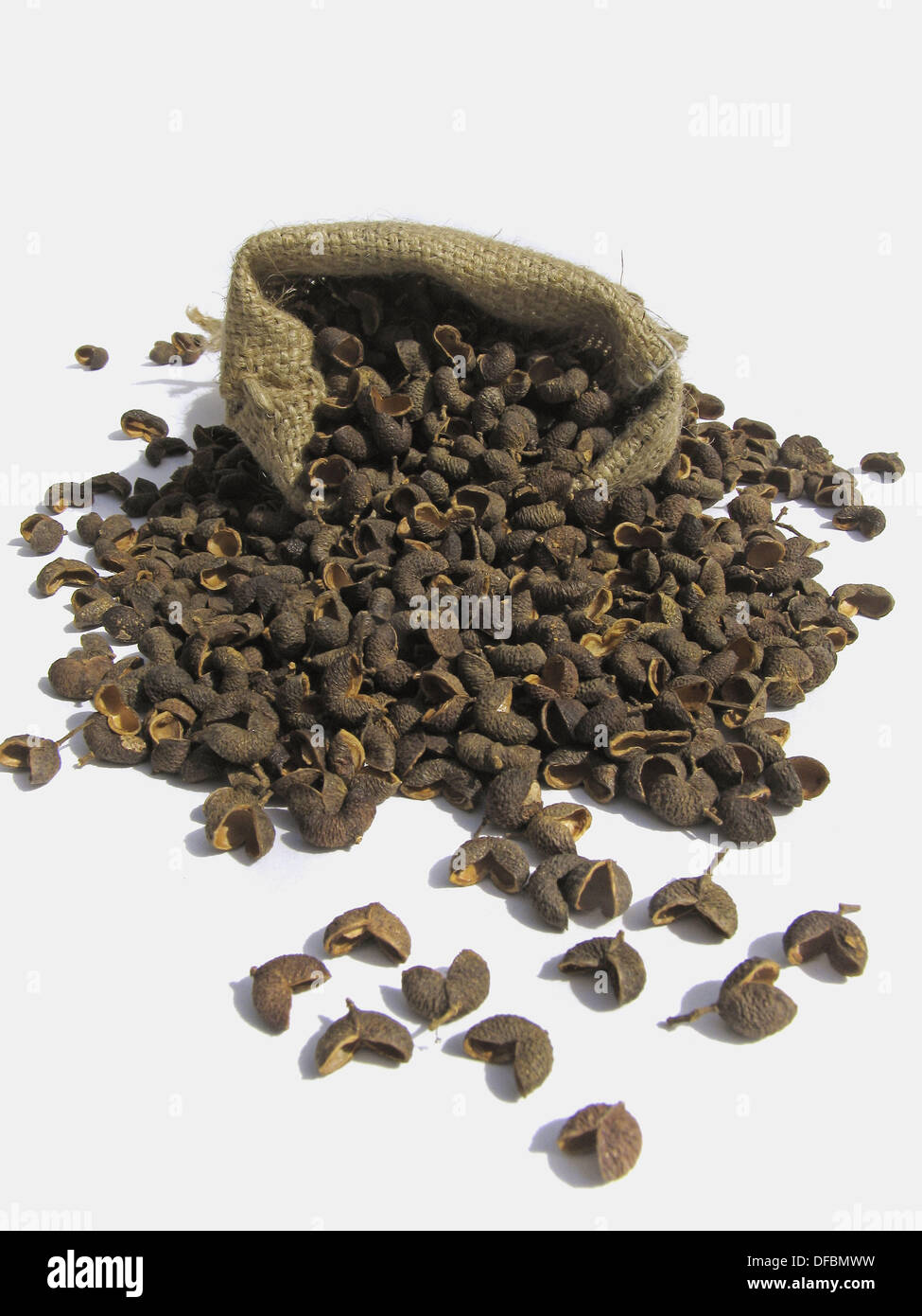 Pimenta Dioica