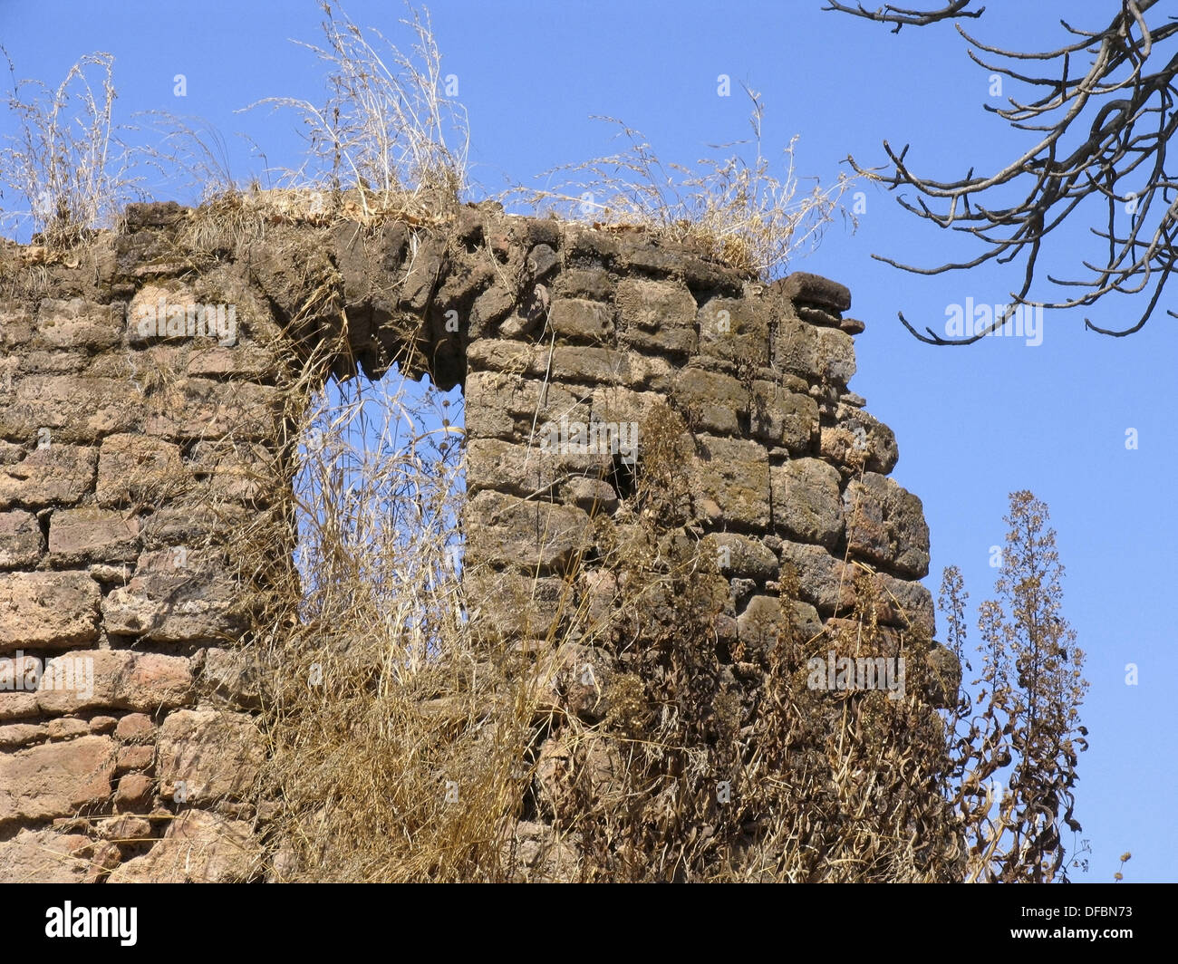 Wada India Stock Photos & Wada India Stock Images - Alamy