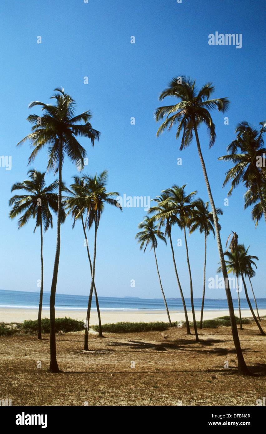 Cansaulim beach, Goa, India Stock Photo - Alamy