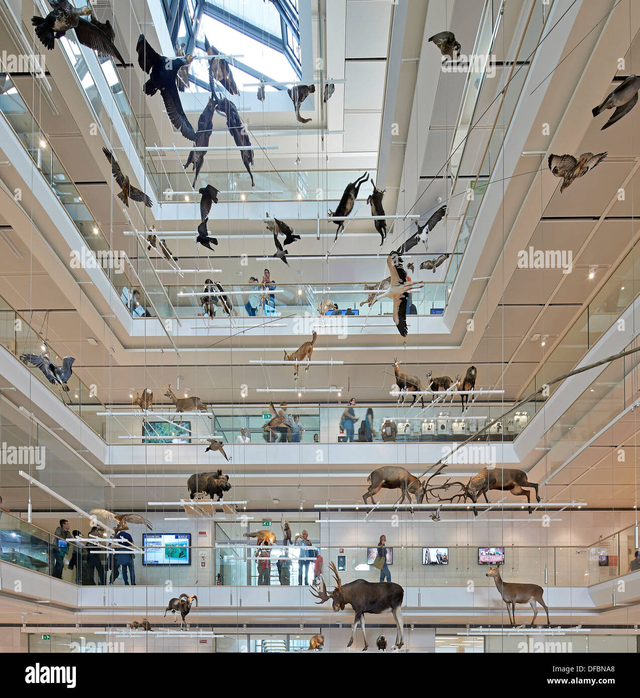 MUSE Science Museum, Trentino, Italy. Architect: Renzo Piano Building ...