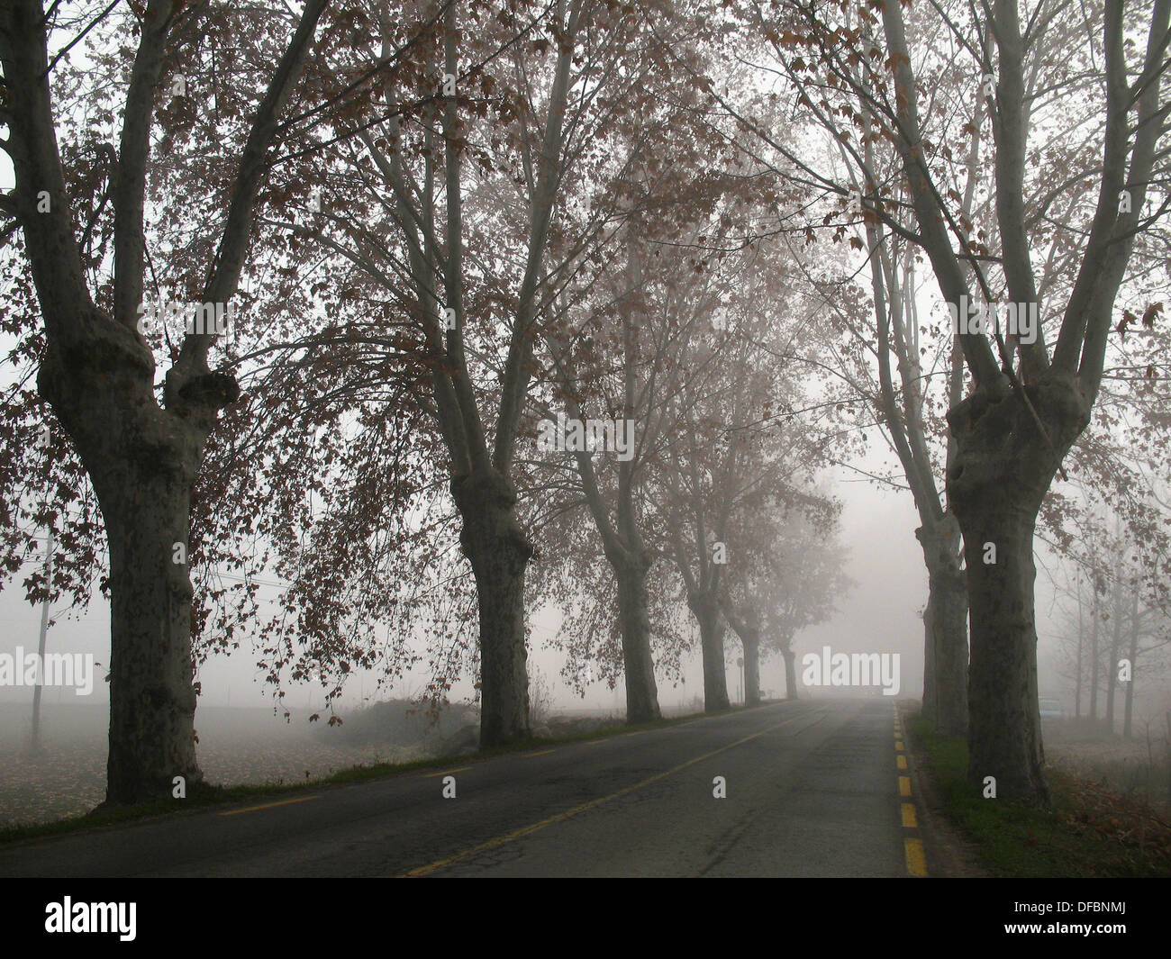Frightening road hi-res stock photography and images - Alamy