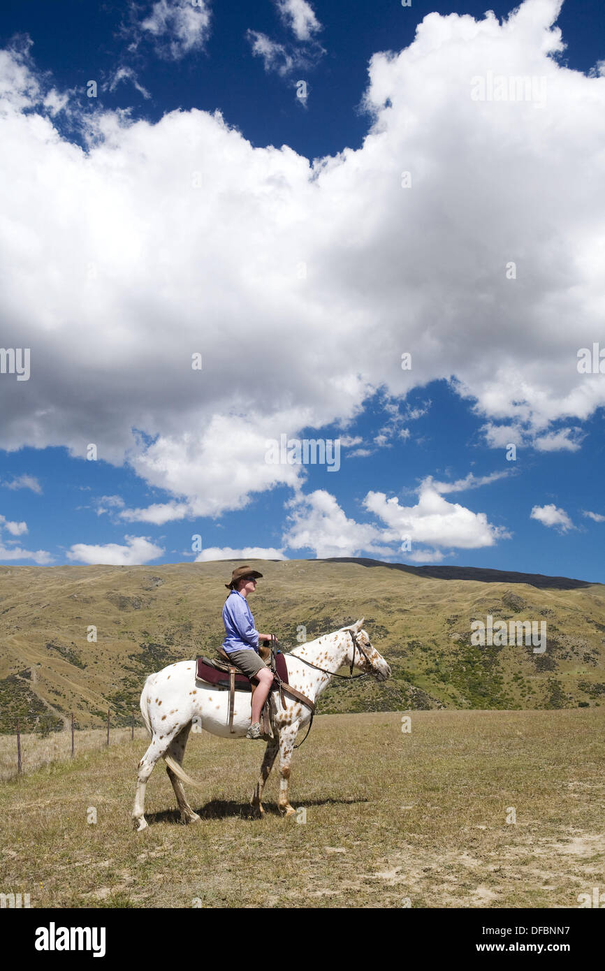 Woman horse riding dramatic hi-res stock photography and images - Alamy