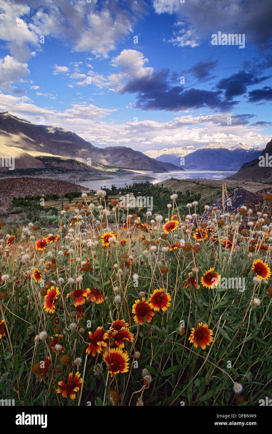 Pakistan indus valley hi-res stock photography and images - Alamy