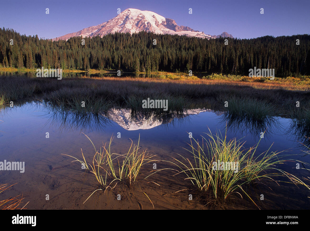 Morning view of Mt Rainier and Reflection Lake Stock Photo - Alamy