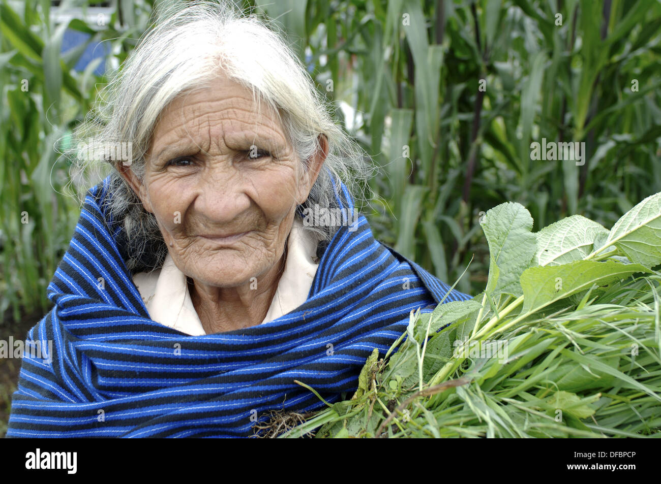 Purhepecha High Resolution Stock Photography and Images - Alamy