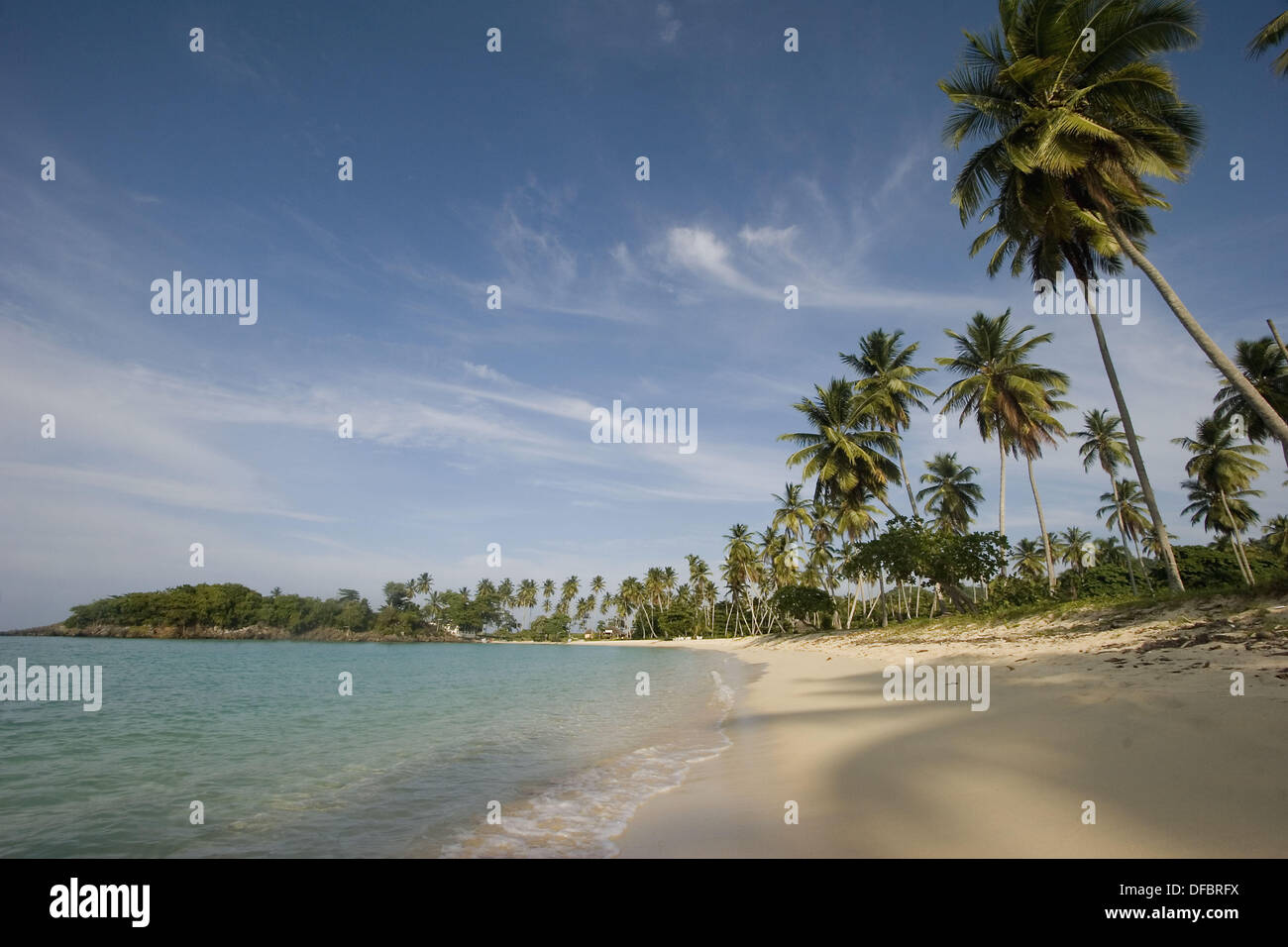 Playa rincon dominican republic hi-res stock photography and images - Alamy