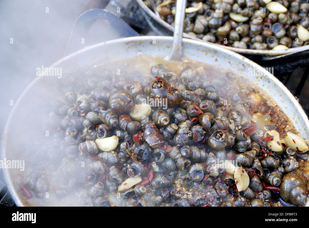 Aquatic gastropod mollusks hi-res stock photography and images - Alamy