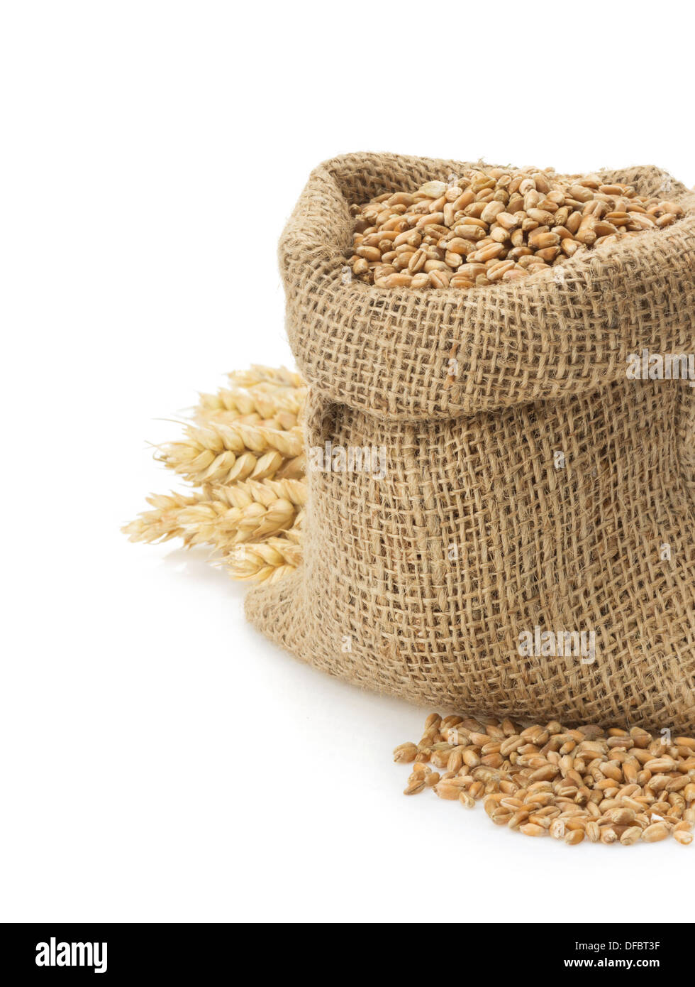 wheat grain isolated on white background Stock Photo - Alamy