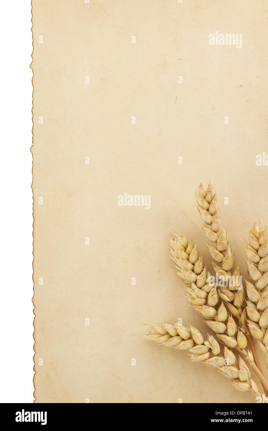 wheat ears and parchment isolated on white background Stock Photo - Alamy