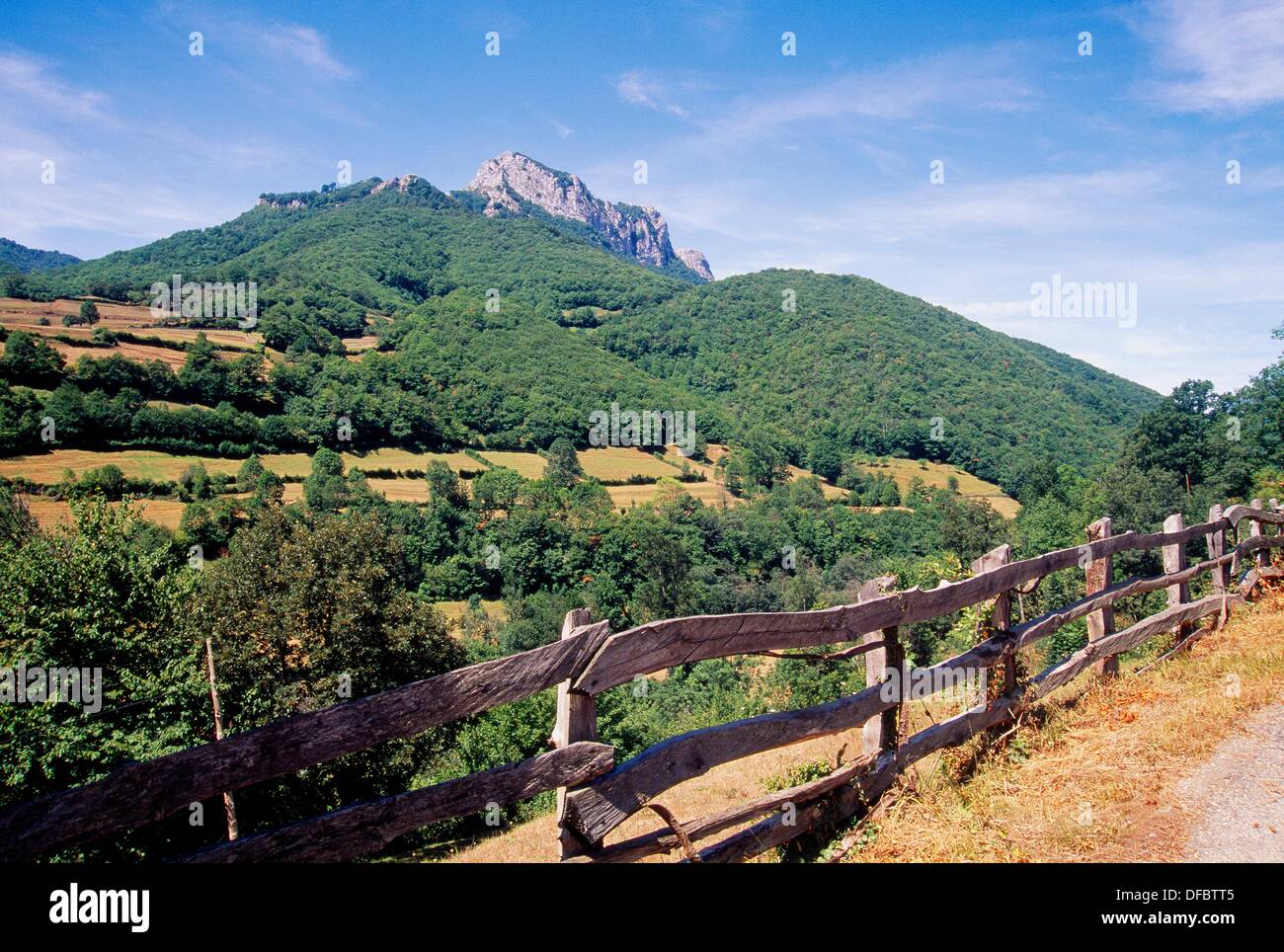 Redes naturales hi-res stock photography and images - Alamy