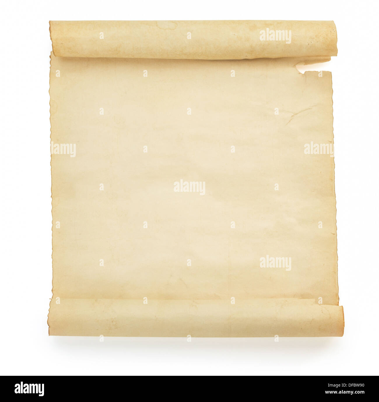 Parchment Scroll Design