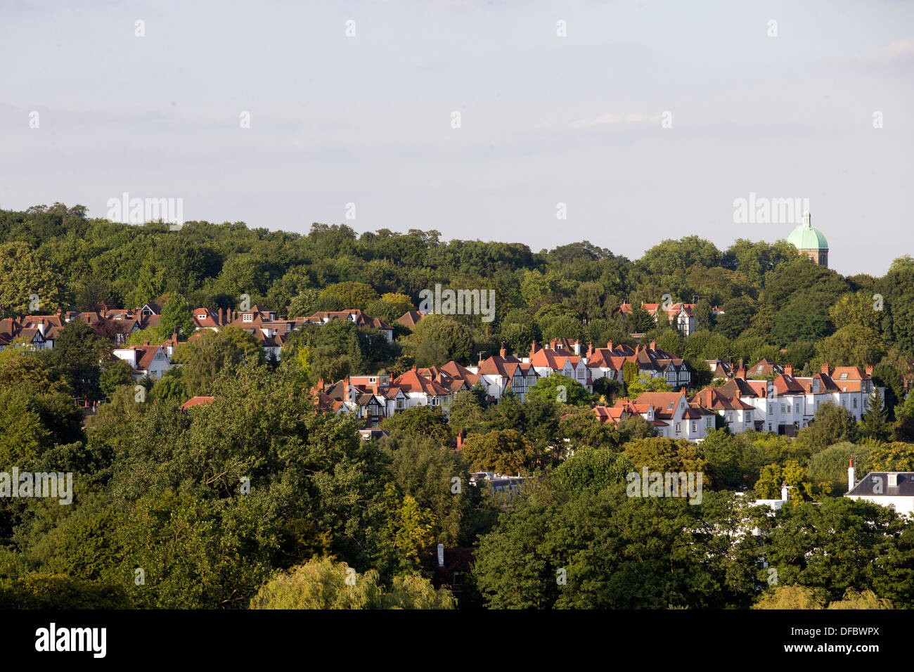 Highgate woods london hi-res stock photography and images - Alamy