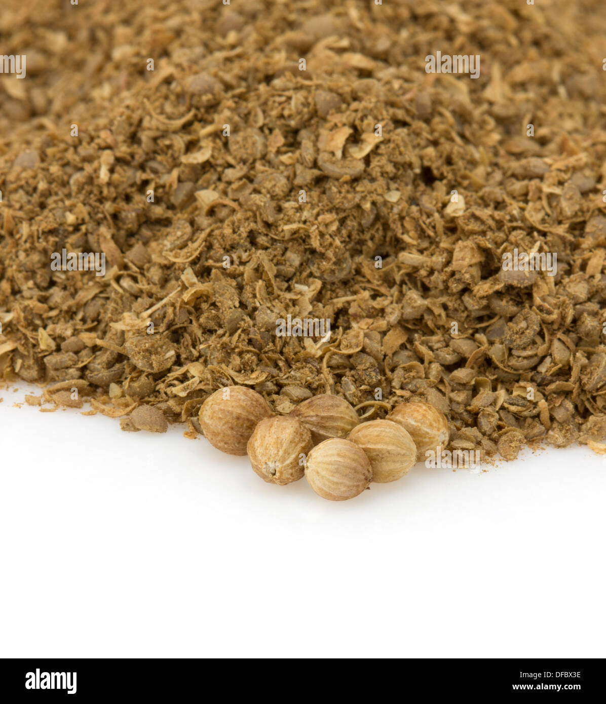 Coriander ingredient vegetable isolated hi-res stock photography and ...