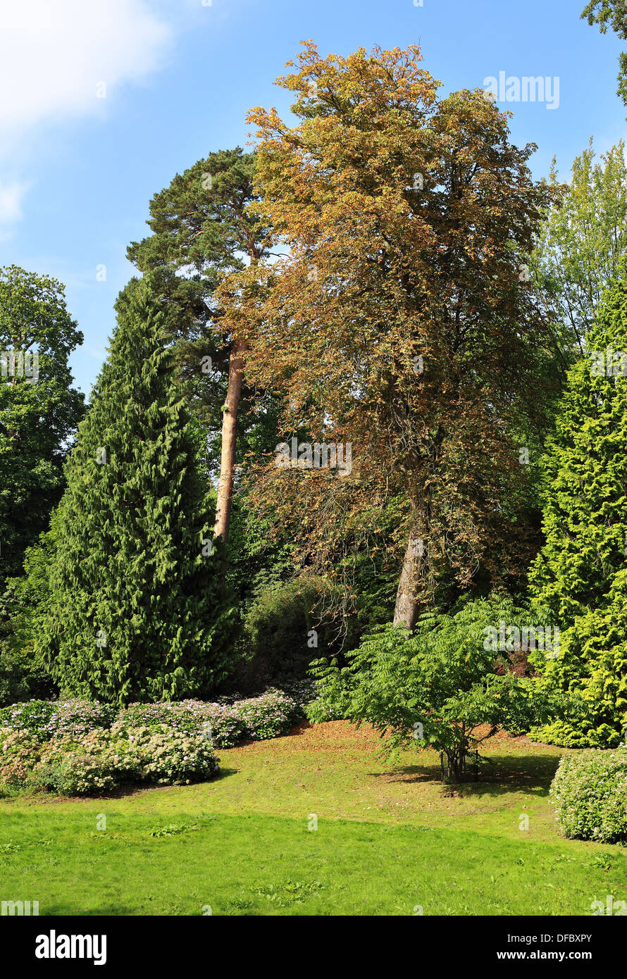 Early autumn in english park hi-res stock photography and images - Alamy