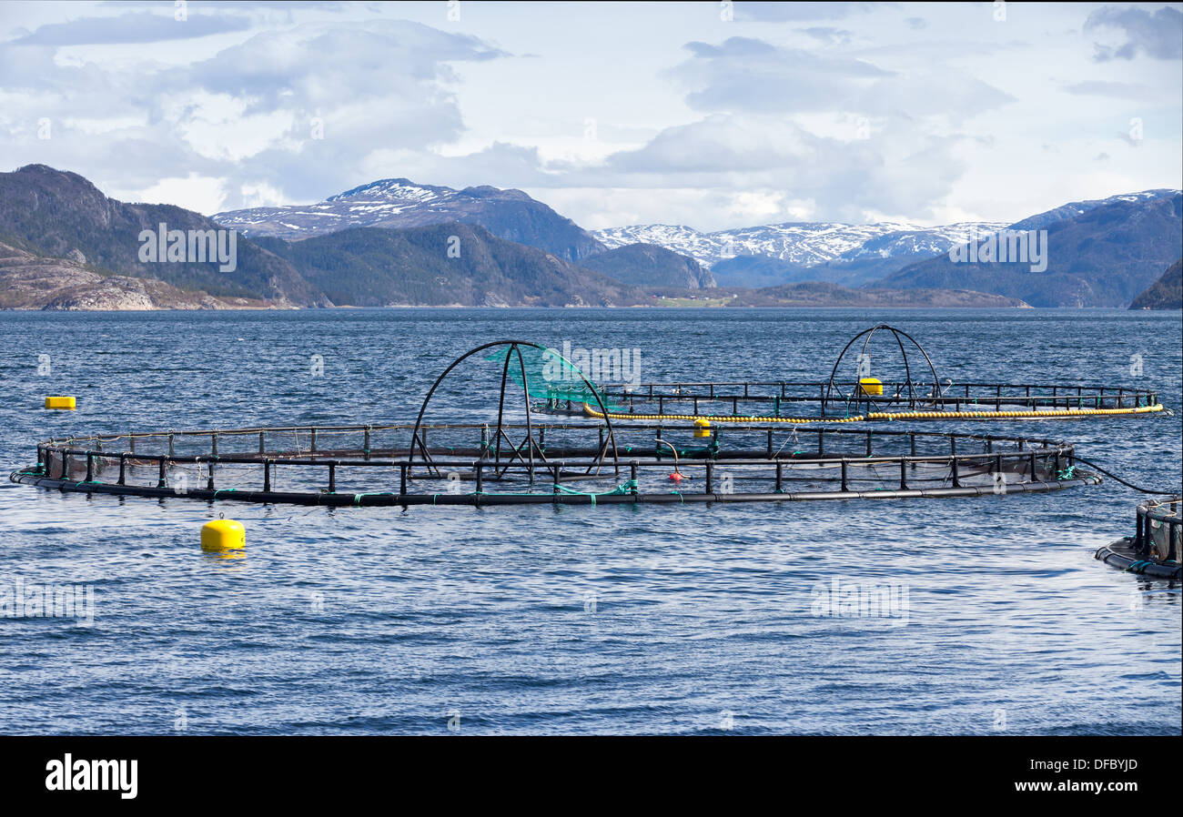 Open growing hi-res stock photography and images - Alamy