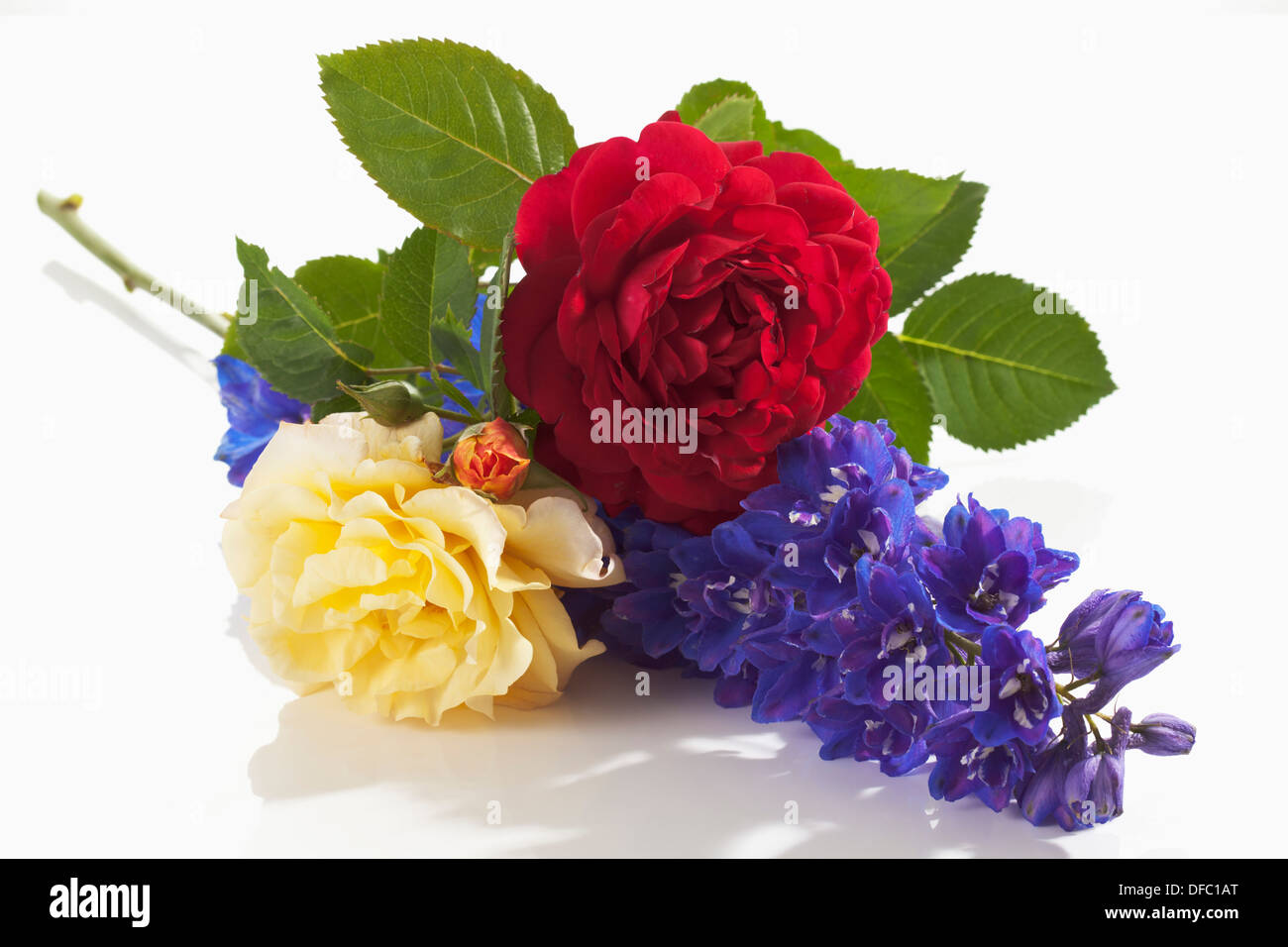 Delphinium and roses flowers hi-res stock photography and images - Alamy