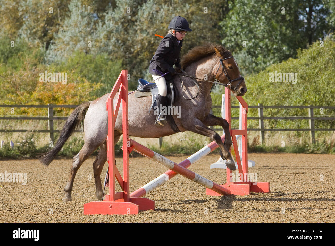A horse and rider jumping a fence during a show jumping competition ...
