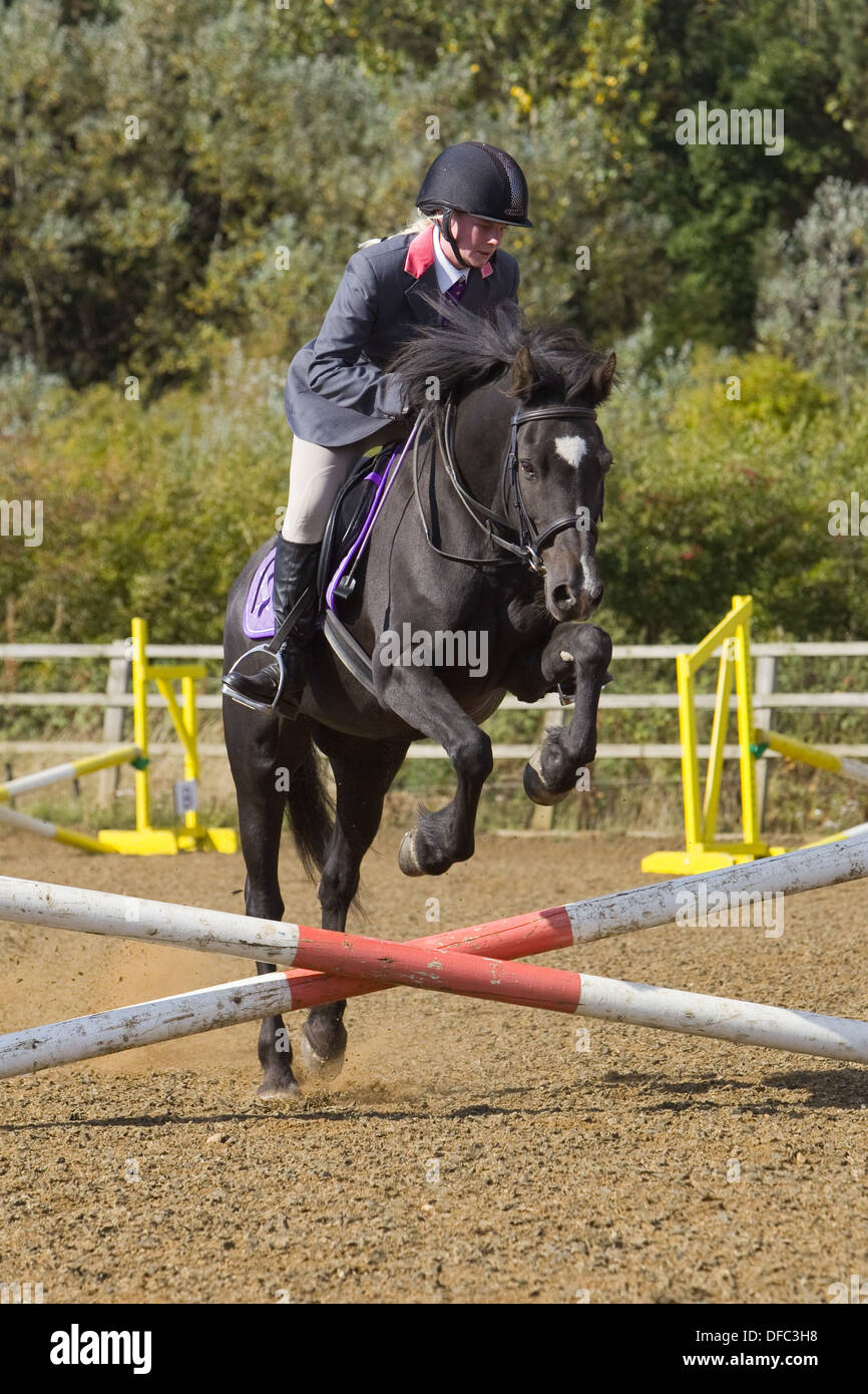 A horse and rider jumping a fence during a show jumping competition ...