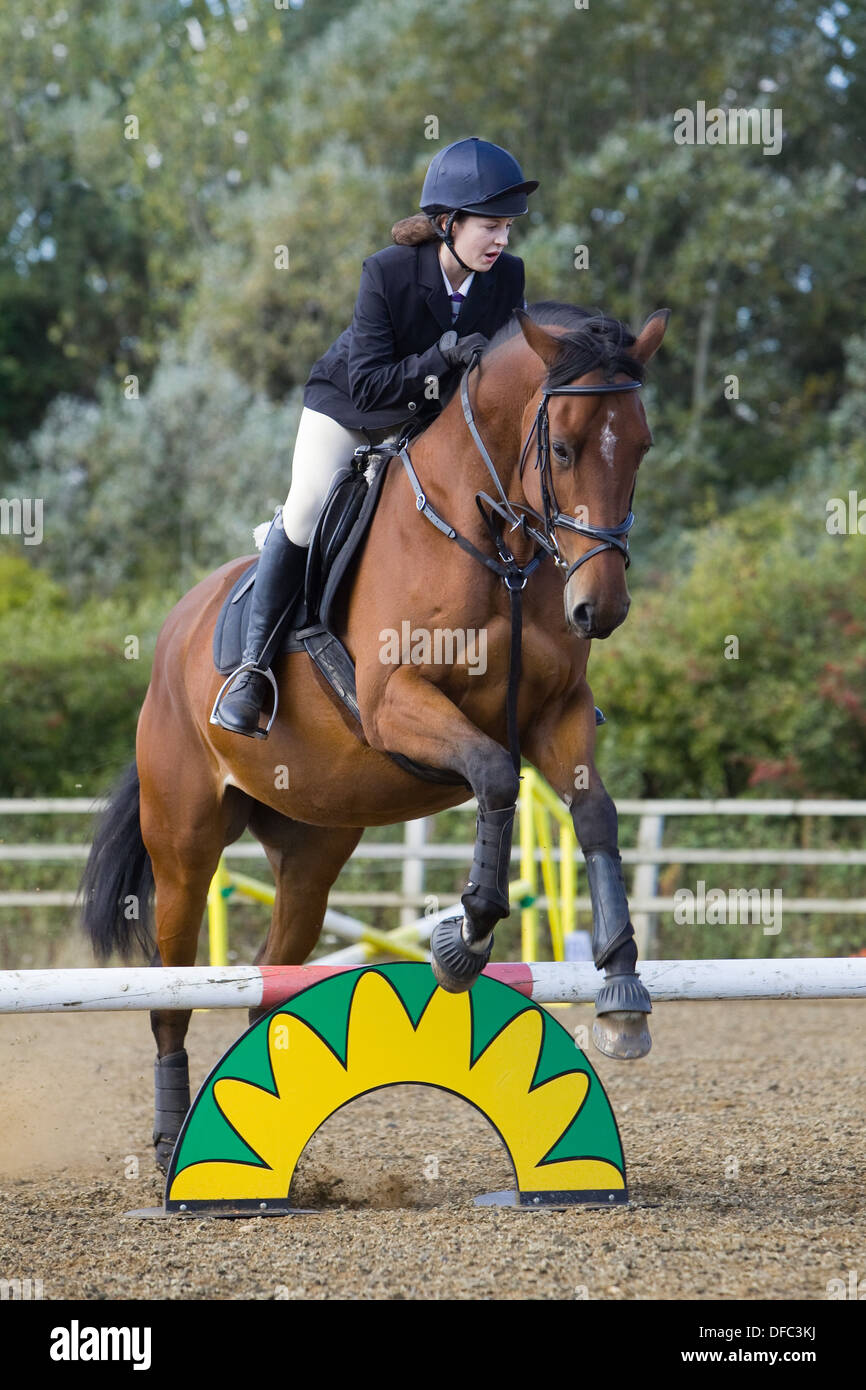A horse and rider jumping a fence during a show jumping competition ...