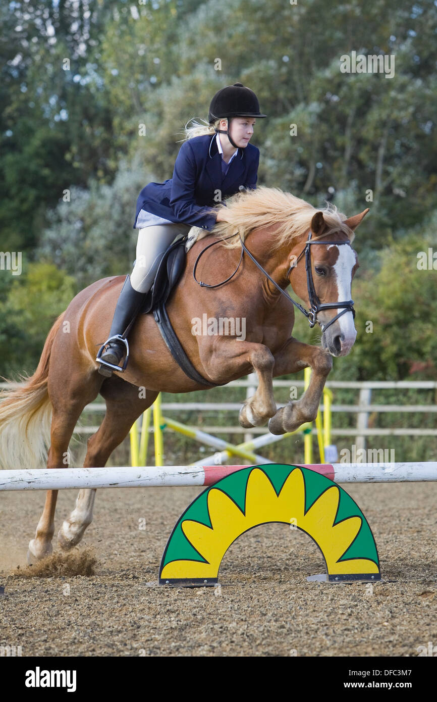 A horse and rider jumping a fence during a show jumping competition ...