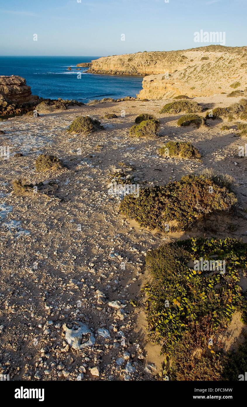 Streaky bay australia hi-res stock photography and images - Alamy