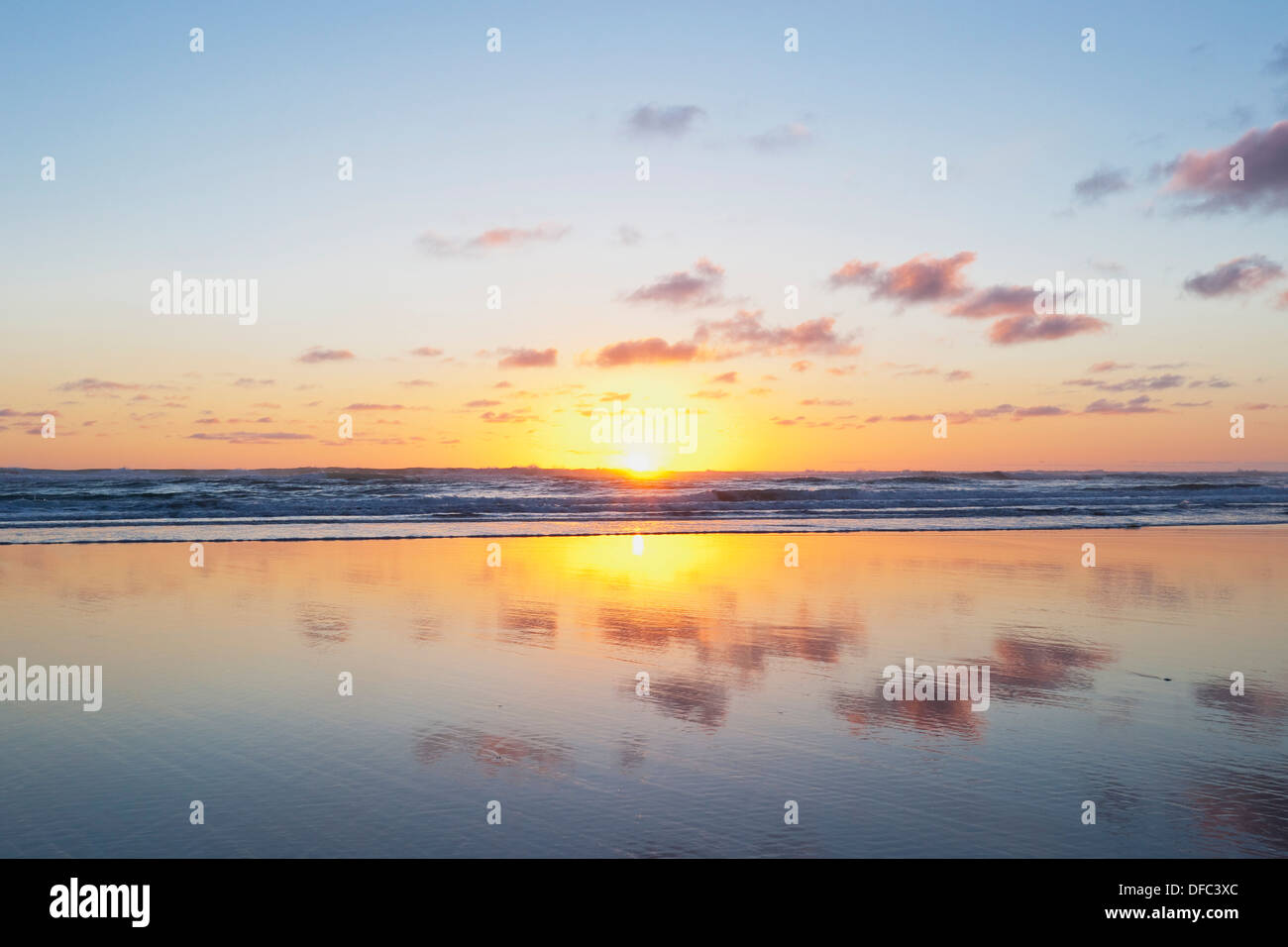New Zealand, View of Piha Beach at sunset Stock Photo - Alamy