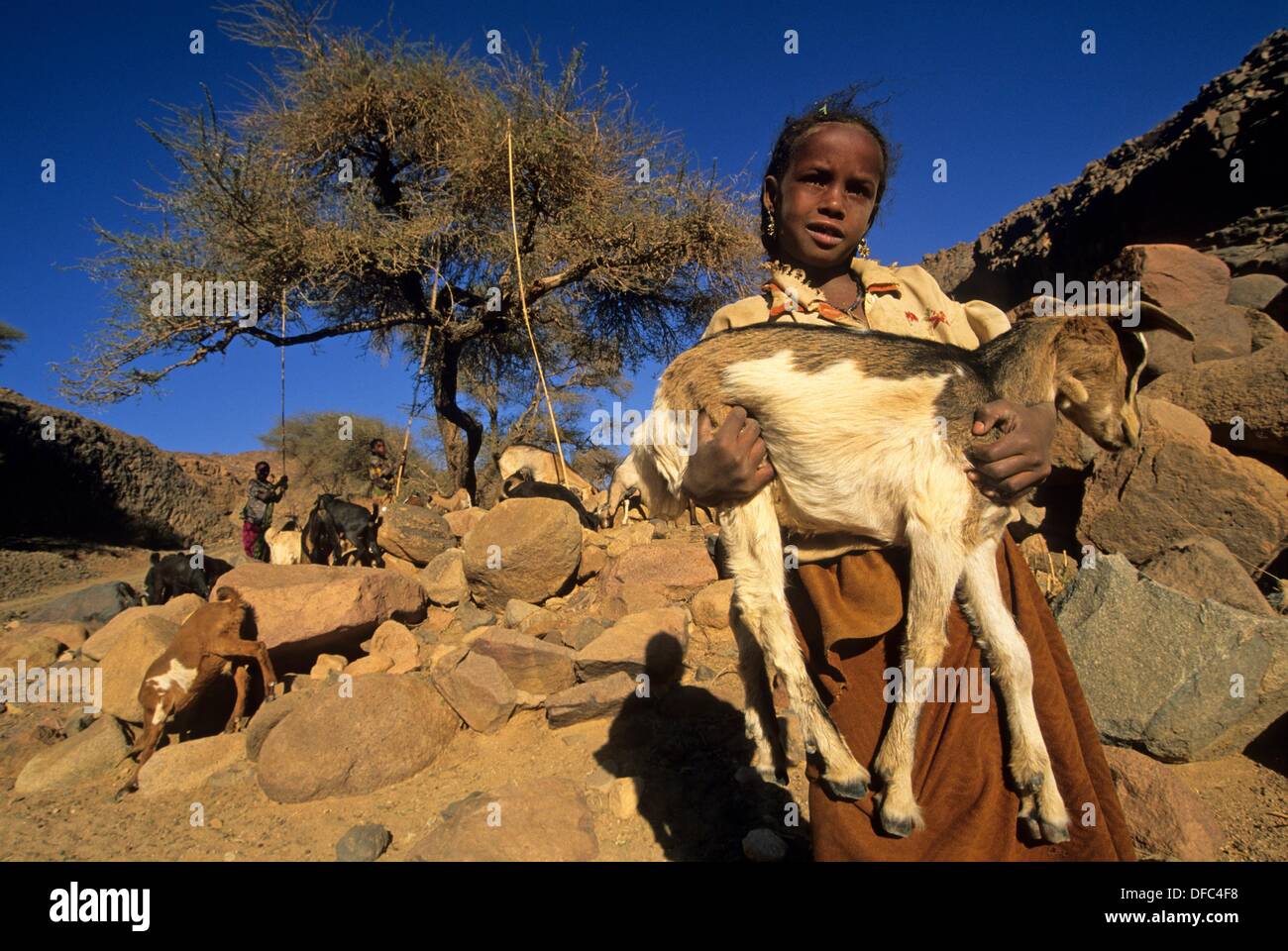 Young shepherdess hi-res stock photography and images - Alamy