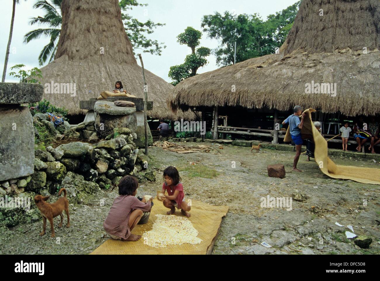 Sumba Traditional Houses High Resolution Stock Photography and Images ...