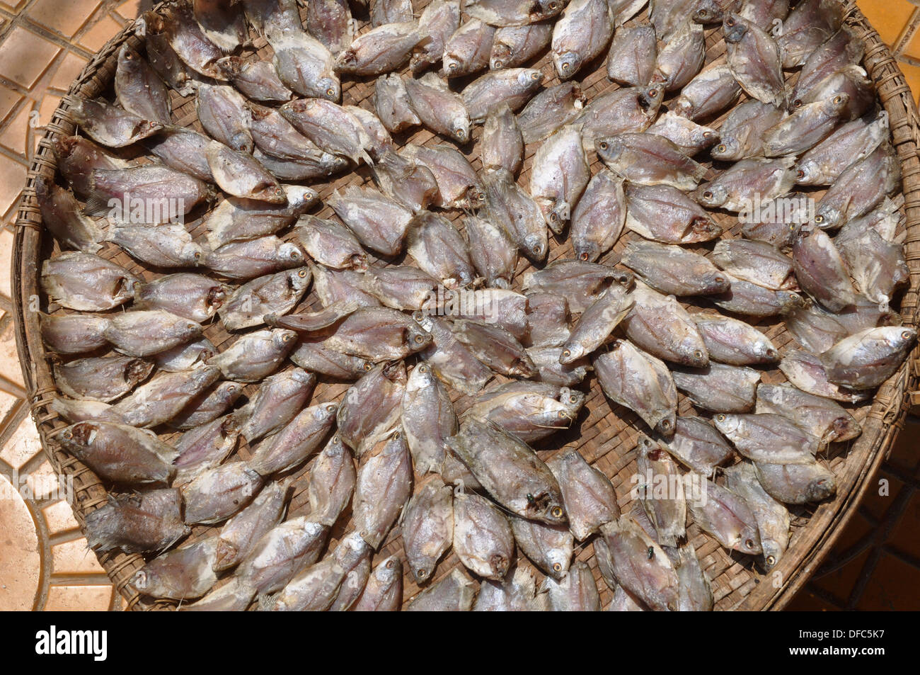 Phnom Penh (Cambodia): dry fish Stock Photo, Royalty Free Image ...