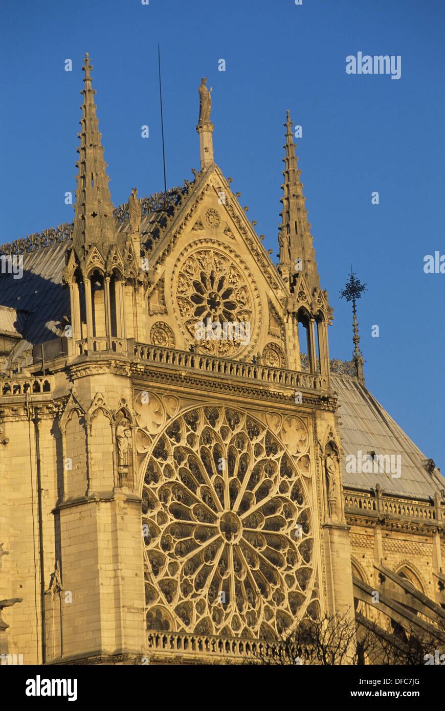 rosace,Cathedrale Notre-Dame,rose window,Paris,Ile de France,France ...