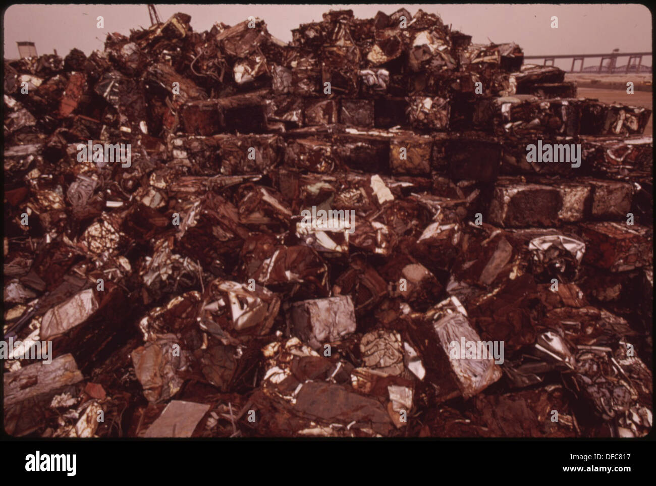 An automobile scrap reclamation yard, featuring discarded vehicles in ...