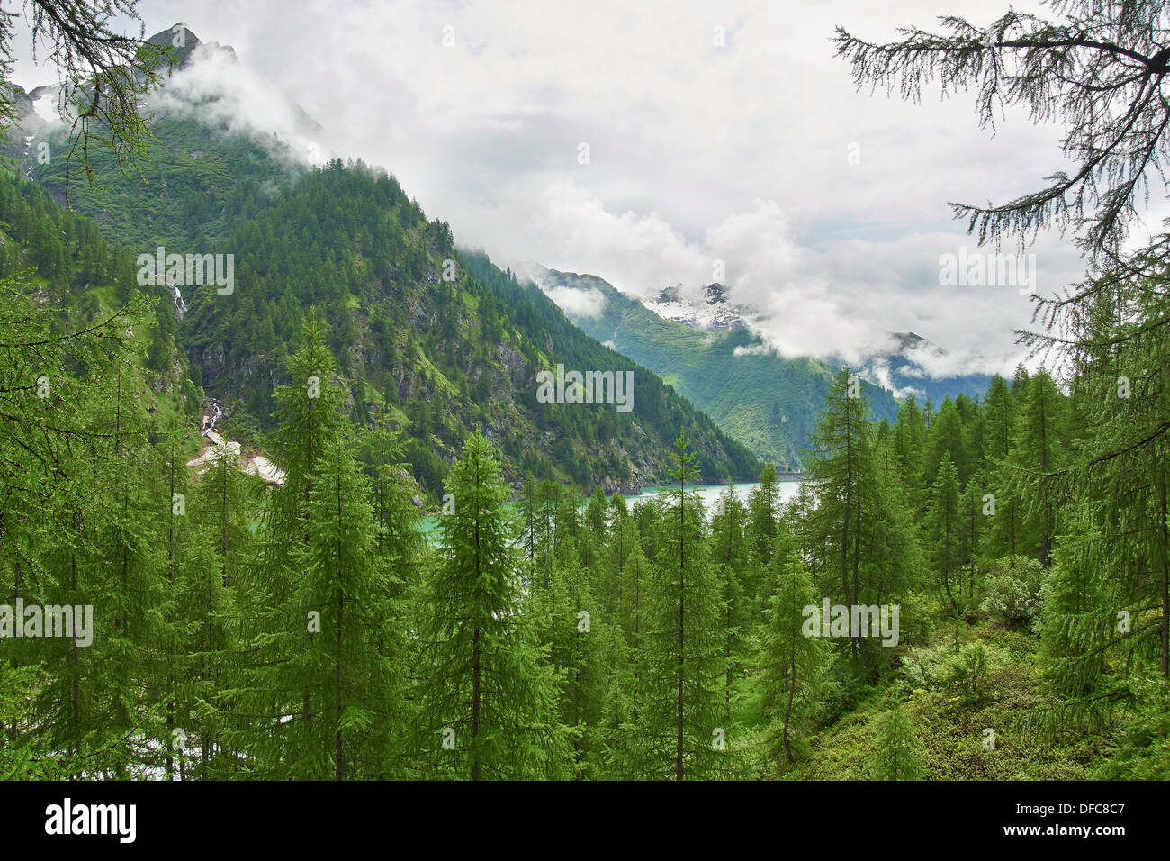 Forest mountain italian alps hi-res stock photography and images - Alamy