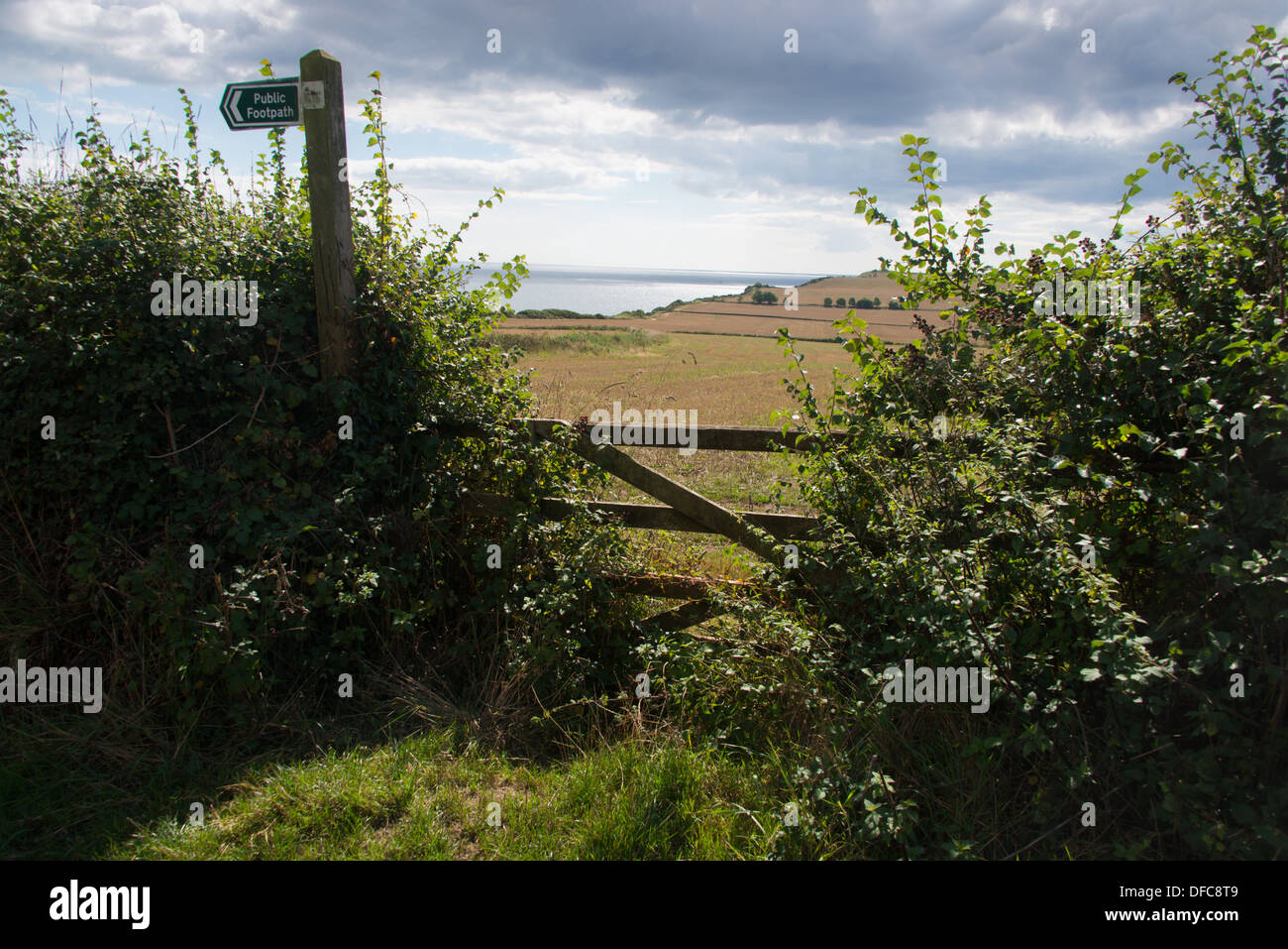 Devon countryside hi-res stock photography and images - Alamy