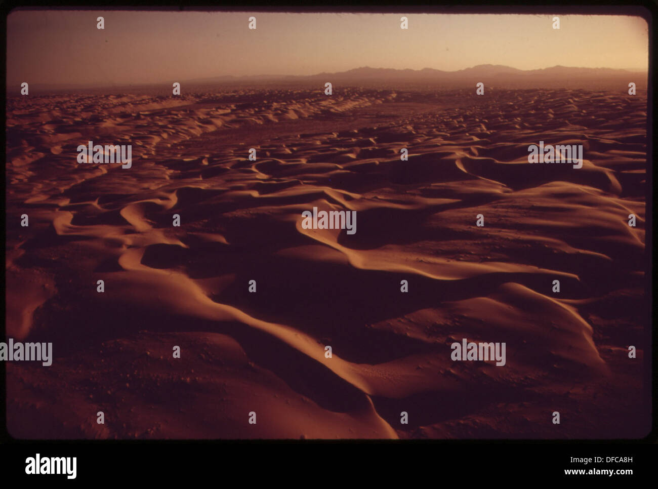 A vast stretch of sand dunes, spanning a hundred miles, separates the ...