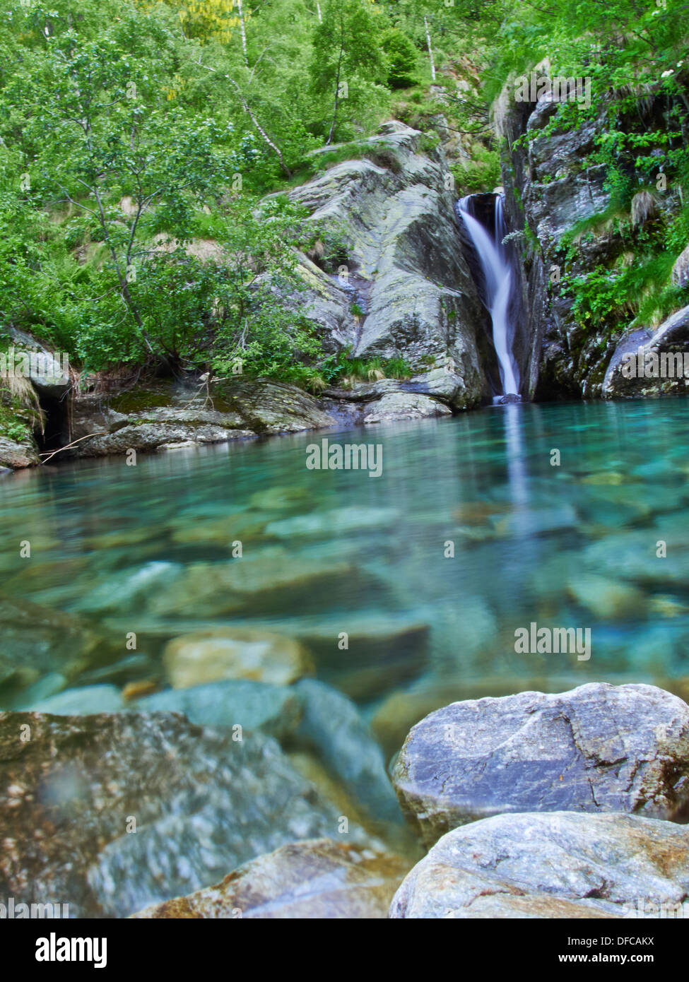 Vale forest hi-res stock photography and images - Alamy