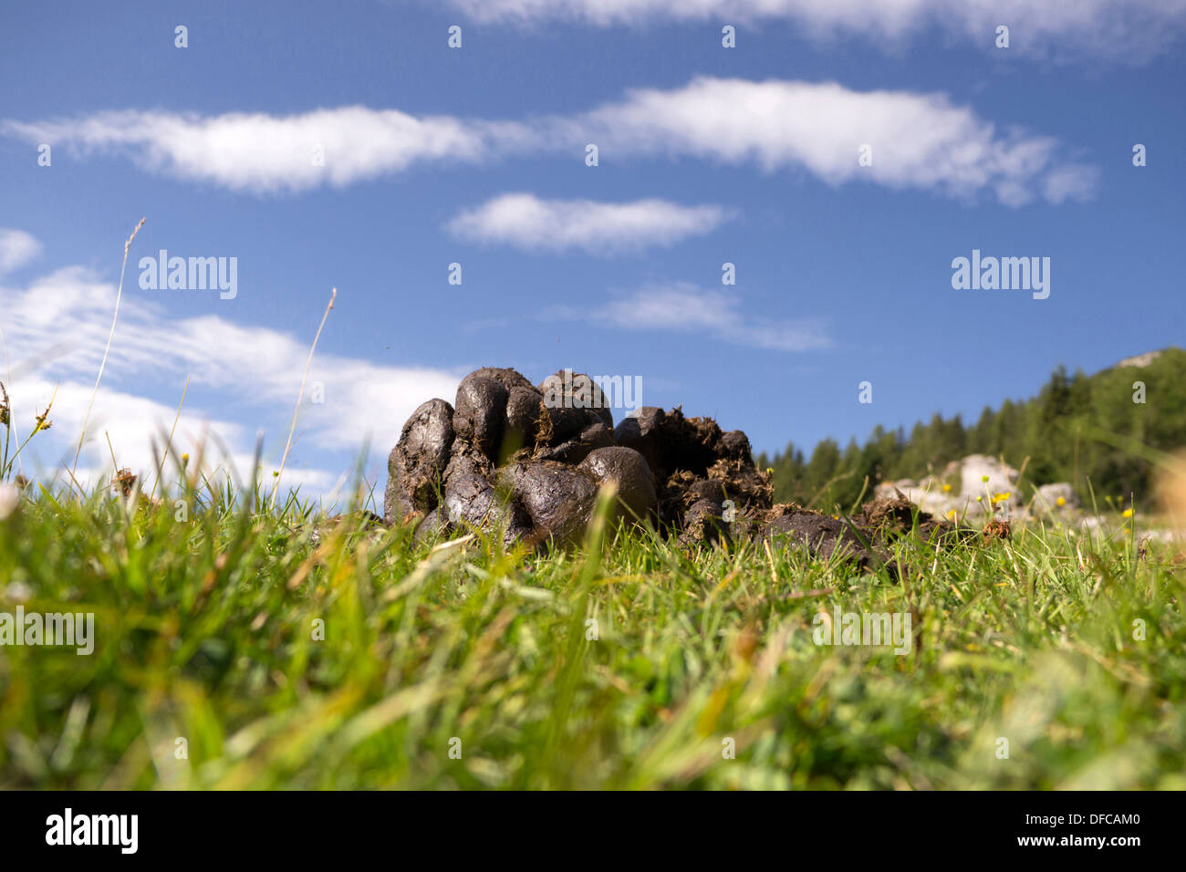 Manure to energy hi-res stock photography and images - Alamy