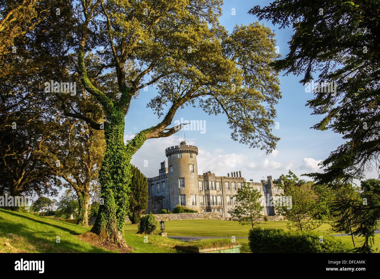 beautiful irish castle forest sunny Stock Photo - Alamy