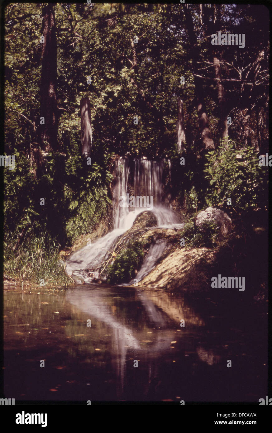 A natural spring photographed at its source, offering a clear view of ...