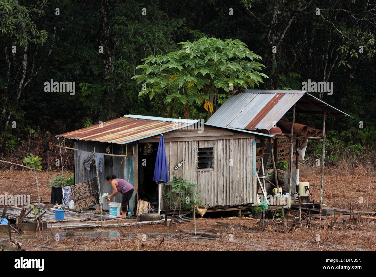 Wooden house in paddy field hi-res stock photography and images - Alamy