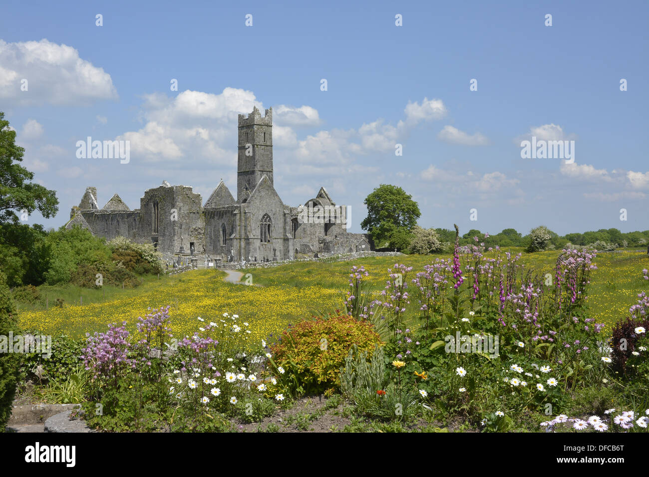 famous irish landmark, quin abbey, county clare, ireland Stock Photo ...