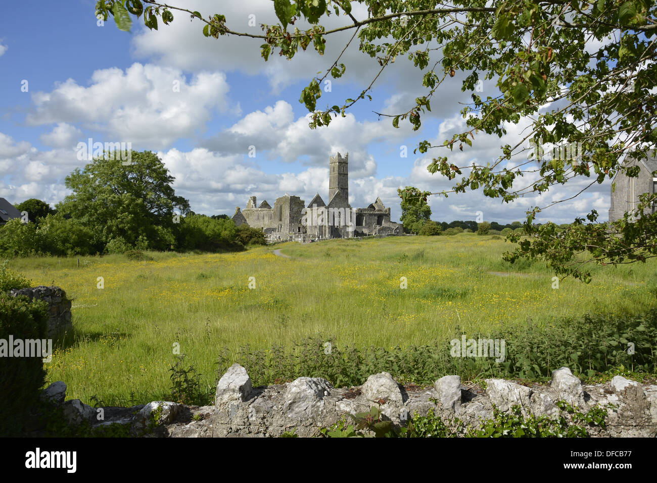 famous irish landmark, quin abbey, county clare, ireland Stock Photo ...