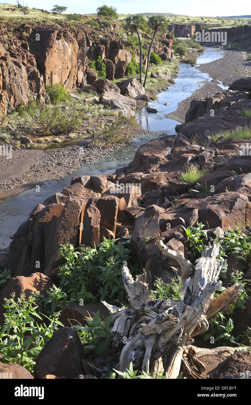 Uniab river hi-res stock photography and images - Alamy