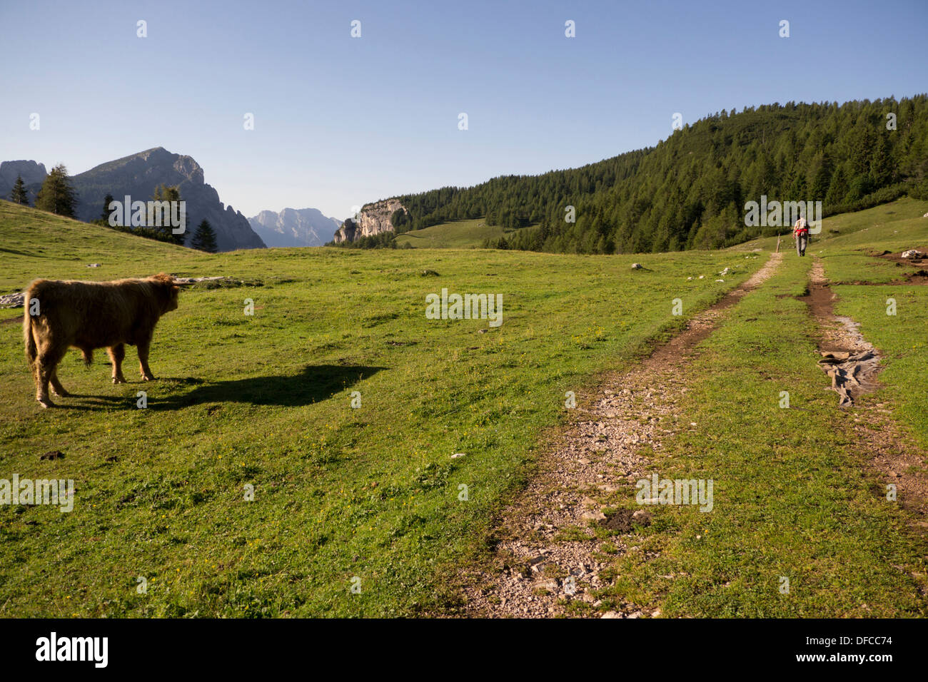 Relaxing outdoor environment hi-res stock photography and images - Alamy