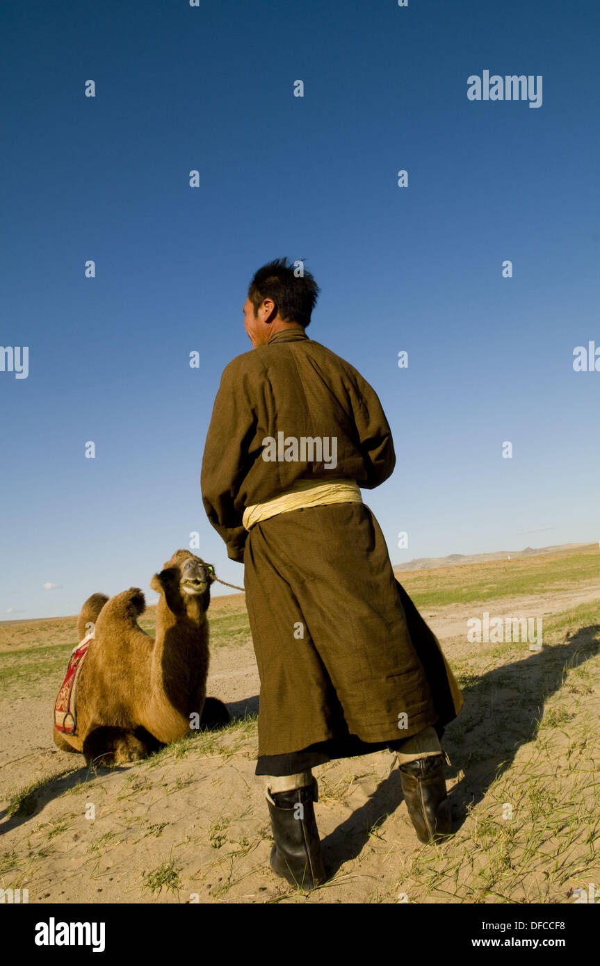 Double Hump Camel High Resolution Stock Photography and Images - Alamy