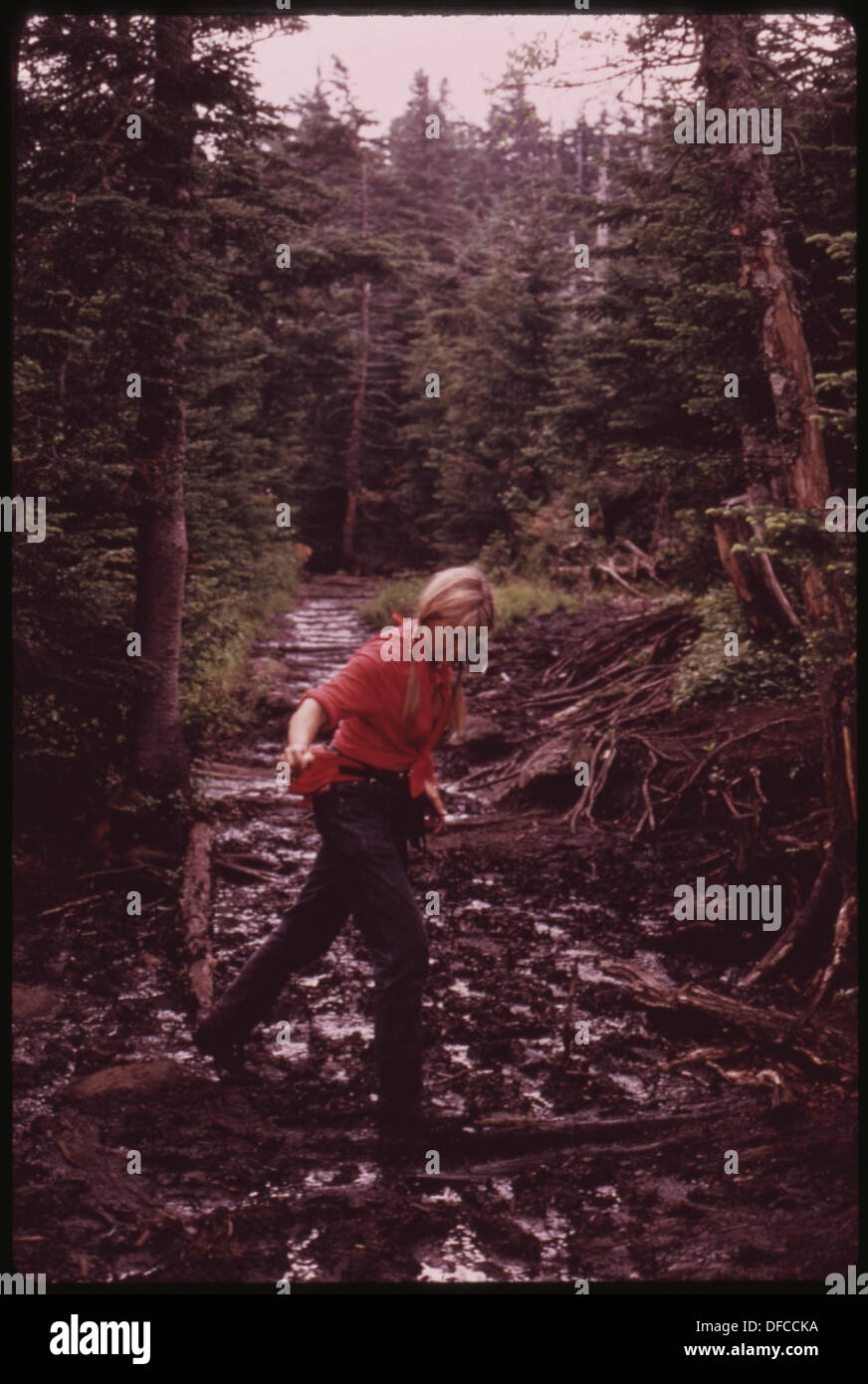 Overuse of hiking trails in the High Peaks region of the Adirondacks ...