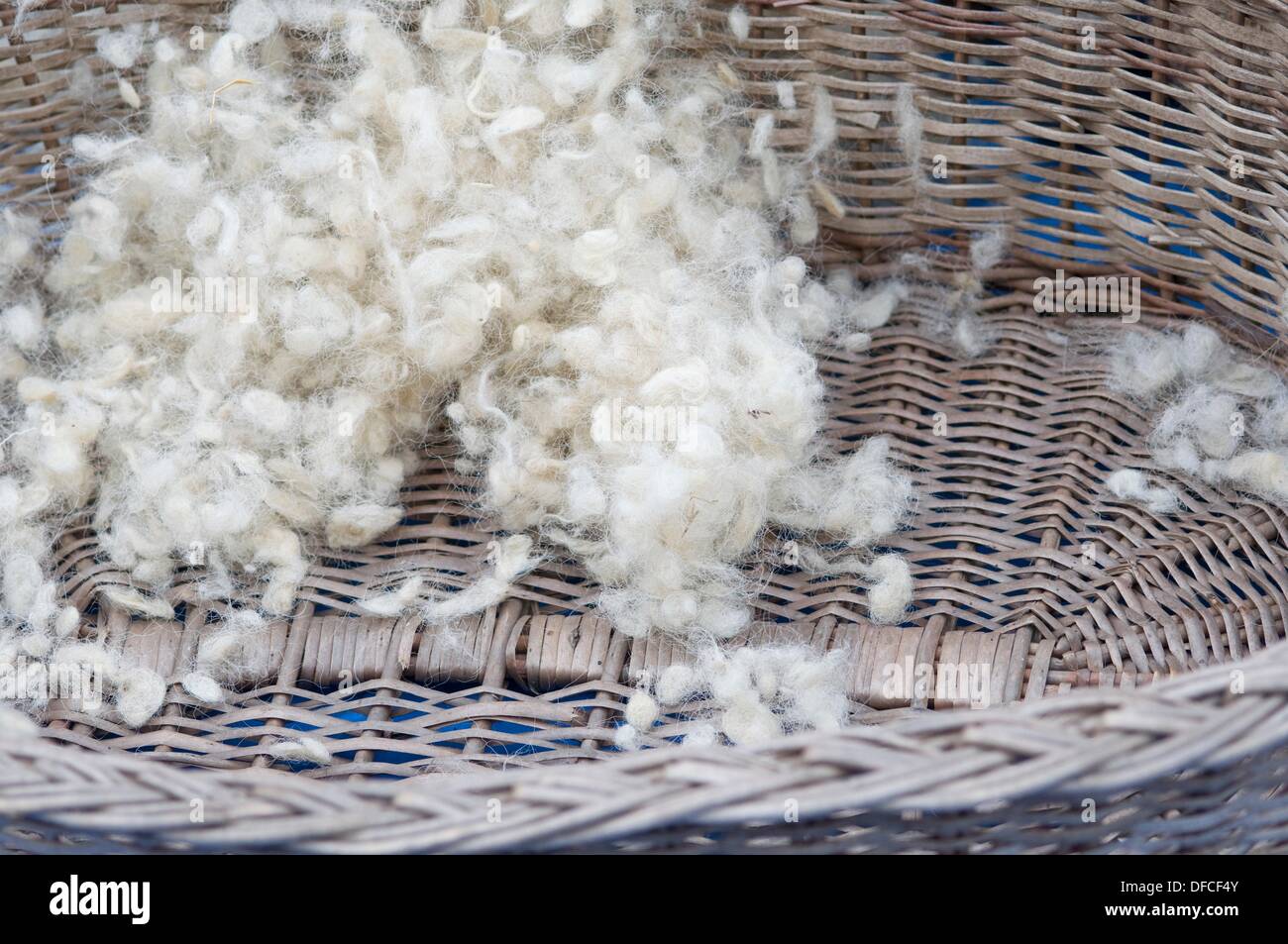 Wool Carding High Resolution Stock Photography and Images - Alamy